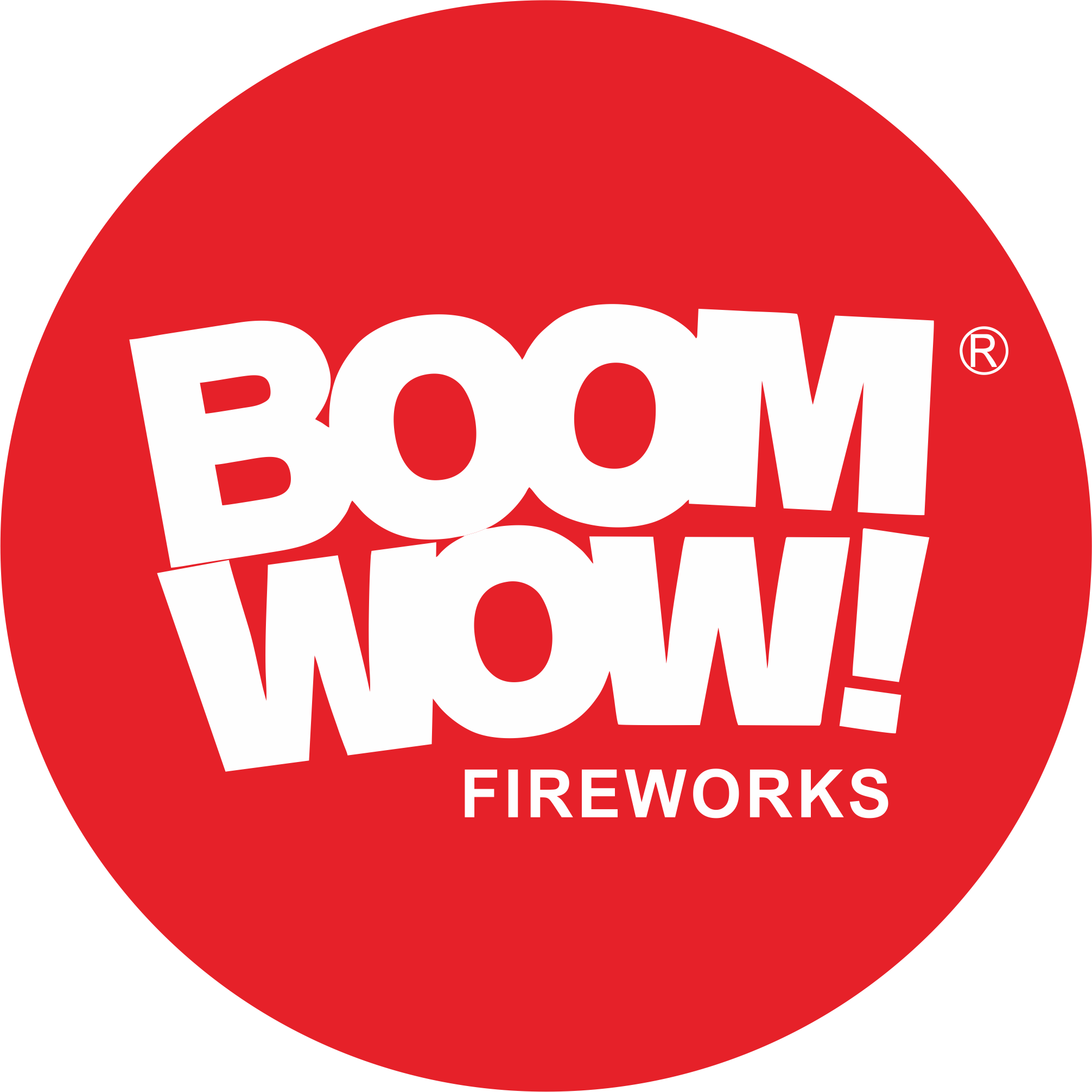 Firework Brands We Carry